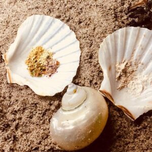 SEAJIAYI 6PCS Scallop Shells for Serving Food,Baking Shells Large Natural White Scallops from Sea Beach for DIY Craft Decor 4-5 Inches