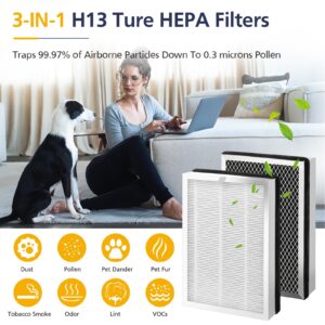 25 Replacement Filter for 25 Air Purifier S1/W1/B1, 3-in-1 H13 True HEPA Activated Carbon Filter