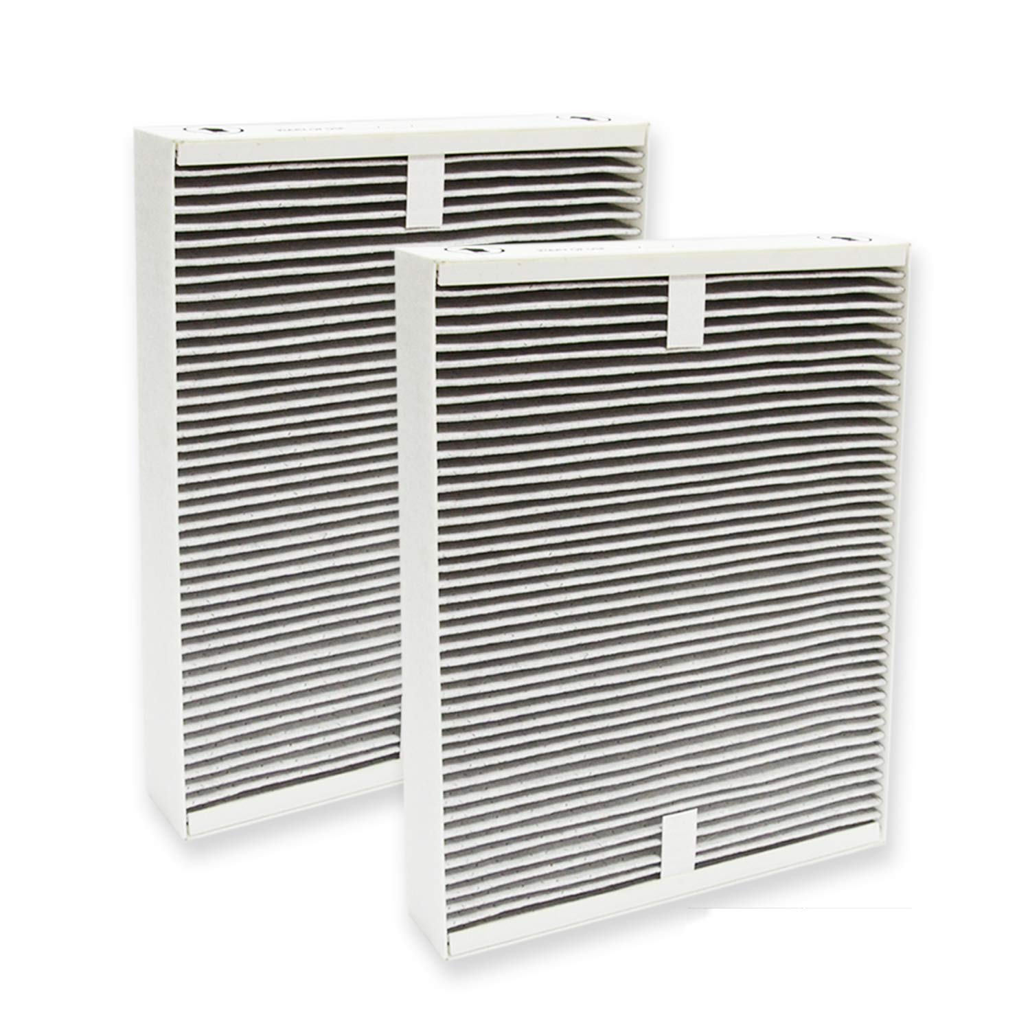 PUREBURG Replacement High-efficiency HEPA Filters Compatible with Stadler Form Roger Air Purifier, R-113, Activated carbon 2-IN-1 Air Clean Dust VOCs,2-Pack