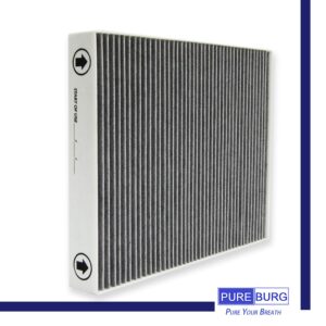 PUREBURG Replacement High-efficiency HEPA Filters Compatible with Stadler Form Roger Air Purifier, R-113, Activated carbon 2-IN-1 Air Clean Dust VOCs,2-Pack