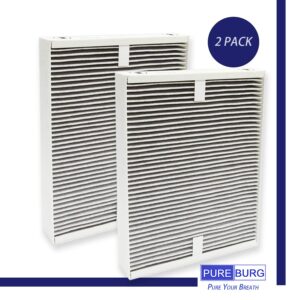 PUREBURG Replacement High-efficiency HEPA Filters Compatible with Stadler Form Roger Air Purifier, R-113, Activated carbon 2-IN-1 Air Clean Dust VOCs,2-Pack