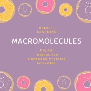 remote learning biochemistry unit: digital macromolecules practice activities