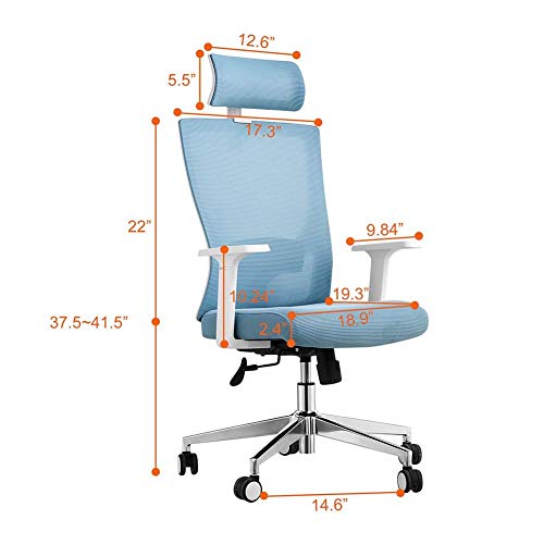 Ergonomic Office Chair Adjustable High Back Chair with Flexible Headrest & 140°Reclining Lumbar Support Mesh Computer Chair for Office Home (Blue)