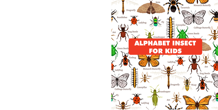 Alphabet Insect For Kids