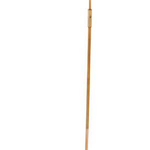 daylight24 Patented Focus Adjustable LED Beam Floor Lamp with Gooseneck for Reading, Crafting or Hobby