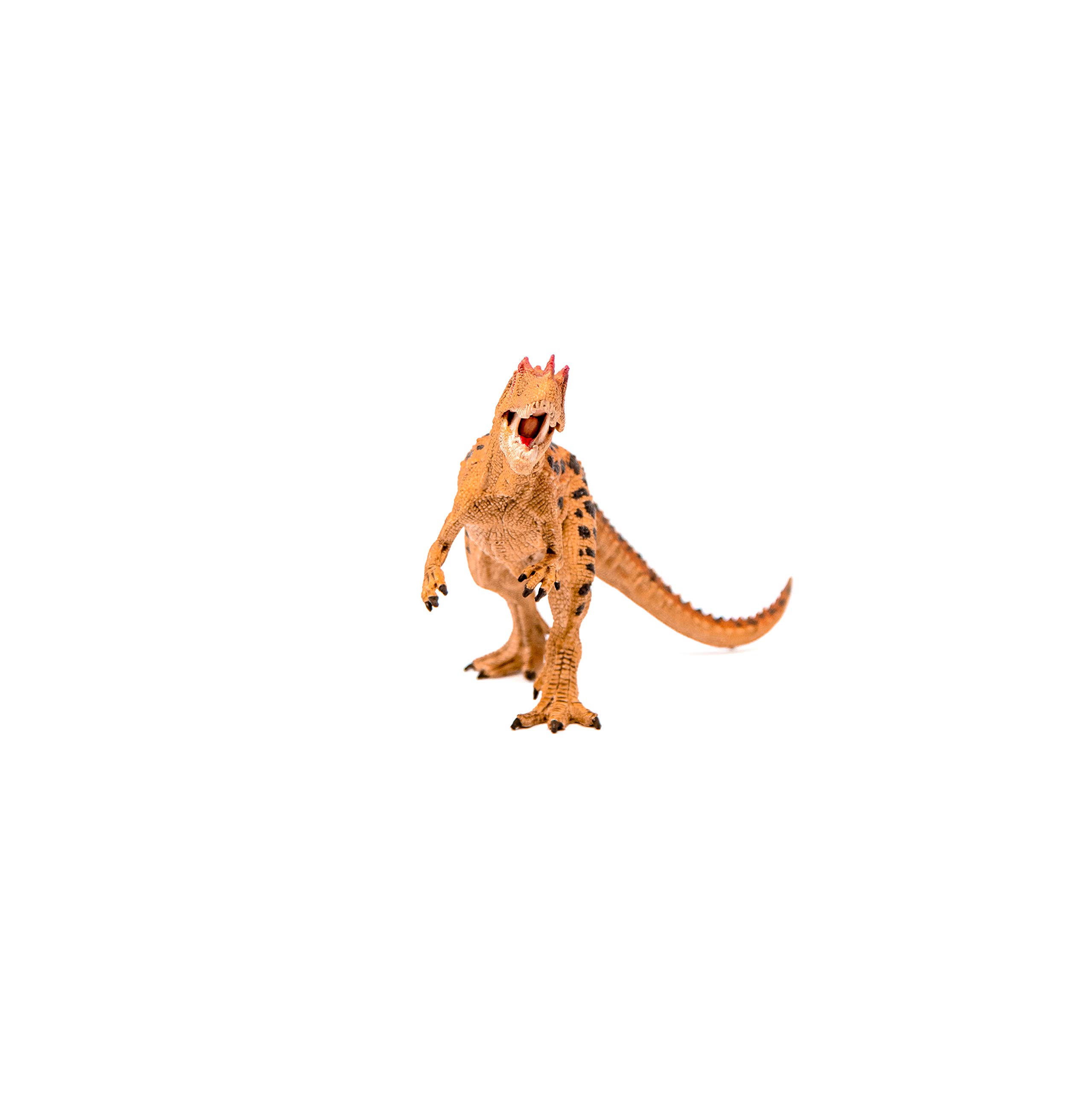 Schleich Dinosaurs, Jurassic Era Dinosaur Toys for Boys and Girls, Realistic Ceratosaurus Toy Figure with Moving Jaw, Ages 4+