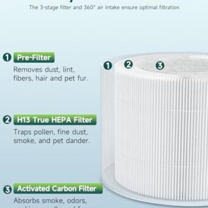 2-Pack HP01 HP02 Filter Replacement Kit Compatible with Dyson HP01/HP02/DP01 Air Purifier, H13 True HEPA Air Purifier Filter