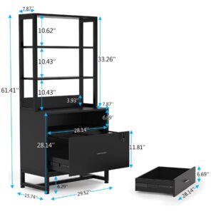 Tribesigns 2 Drawer Lateral File Cabinet with Lock, Letter Size Large Modern Filing Cabinet Printer Stand with Open Storage Shelves for Home Office, Black