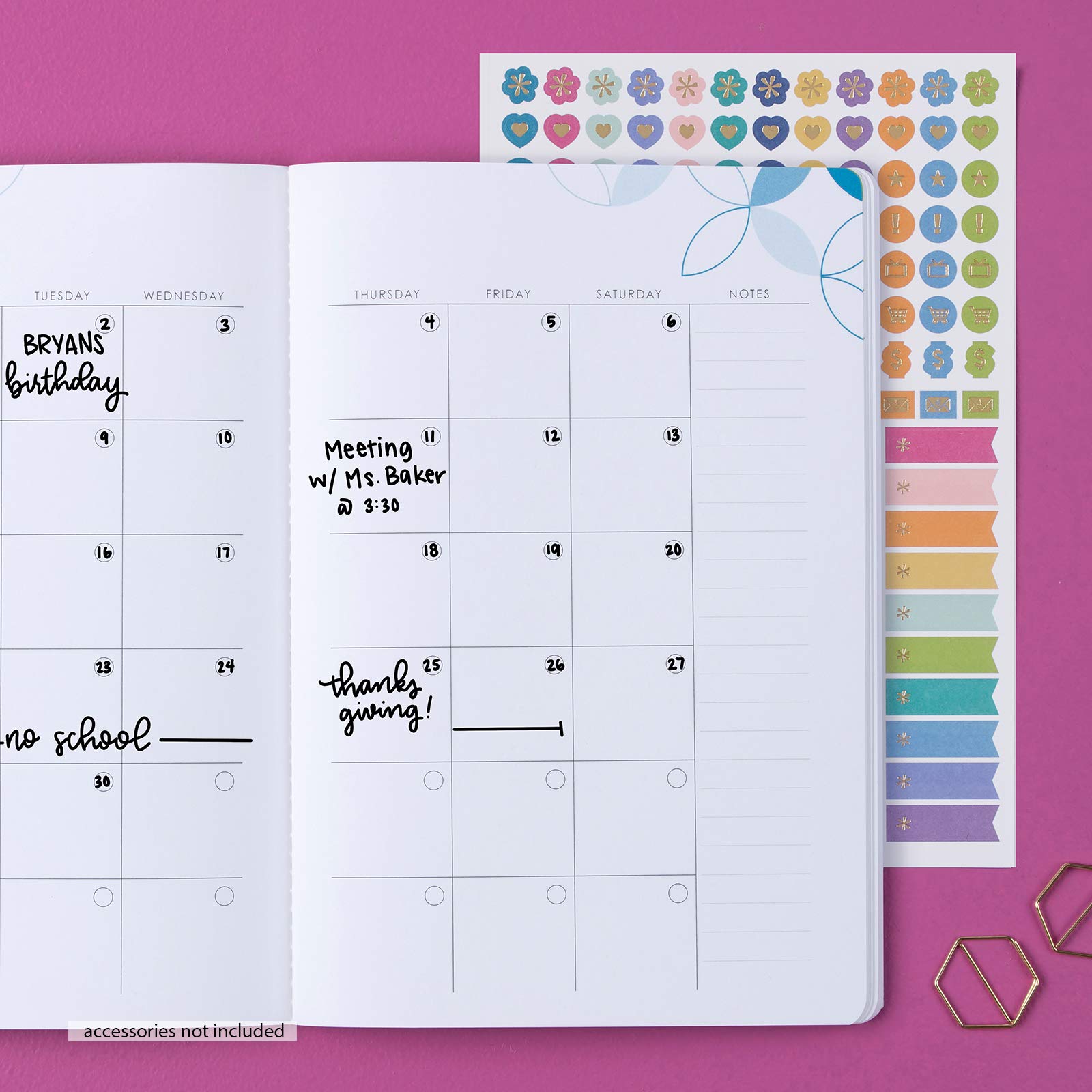 Erin Condren Monthly Customizable Undated 12 Month Agenda Petite Planner - Perfect for Tracking Monthly To-Dos or Monthly Project Goals. 140 Stickers Included