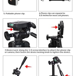 Ubeesize Tripod CT50 50” Phone Tripod Stand, Aluminum Lightweight Tripod for Camera and Phone, Cell Phone Tripod with Phone Holder and Carry Bag, Compatible with iPhone & Android