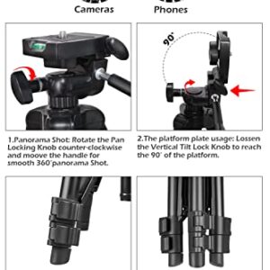 Ubeesize Tripod CT50 50” Phone Tripod Stand, Aluminum Lightweight Tripod for Camera and Phone, Cell Phone Tripod with Phone Holder and Carry Bag, Compatible with iPhone & Android