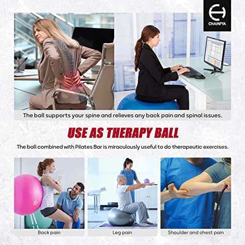 𝗘𝘅𝗲𝗿𝗰𝗶𝘀𝗲 𝗕𝗮𝗹𝗹 for Working Out 65 cm-Yoga Ball Chair & Balance Ball for Pregnancy, Birthing Physical Therapy & Chair for Office - Stability Ball & Stainless Steel Pilates Bar for Workout