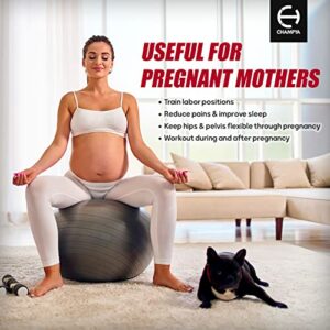 𝗘𝘅𝗲𝗿𝗰𝗶𝘀𝗲 𝗕𝗮𝗹𝗹 for Working Out 65 cm-Yoga Ball Chair & Balance Ball for Pregnancy, Birthing Physical Therapy & Chair for Office - Stability Ball & Stainless Steel Pilates Bar for Workout