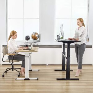 Fenge Height Adjustable Standing Desk- 43x24’’ Electric Stand Up Desk - Sit Stand Desk, Ultra-Quiet Motor, Home Office Workstation, Black