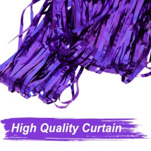 Erweicet 2 Pack 3ft X 9.8ft Purple Fringe Tinsel Backdrop for Birthday Party Foil Fringe Curtain Party Streamers for Party Decorations