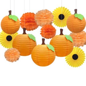 CHRORINE Fall Home Decor Birthday Party Decorations, Fall Little Baby Pumpkin Party 1st Birthday Baby Shower Decorations, Autumn Class School Office Decor