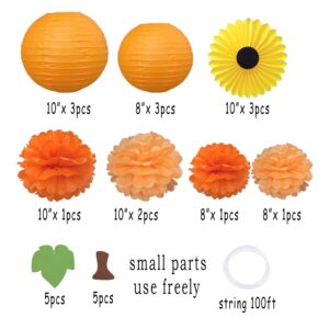 CHRORINE Fall Home Decor Birthday Party Decorations, Fall Little Baby Pumpkin Party 1st Birthday Baby Shower Decorations, Autumn Class School Office Decor