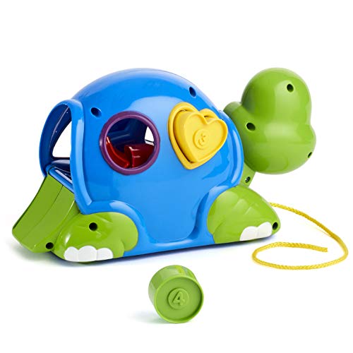 Bruin Pull Along Shape Sorting Turtle (AD20900)