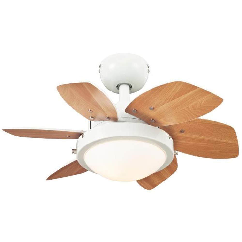 Ciata Small Ceiling Fan With Light, 24 Inch Quince Indoor Ceiling Fan in White Finish with Dimmable LED Light Fixture in Opal Frosted Glass with Reversible White/Beech Blades