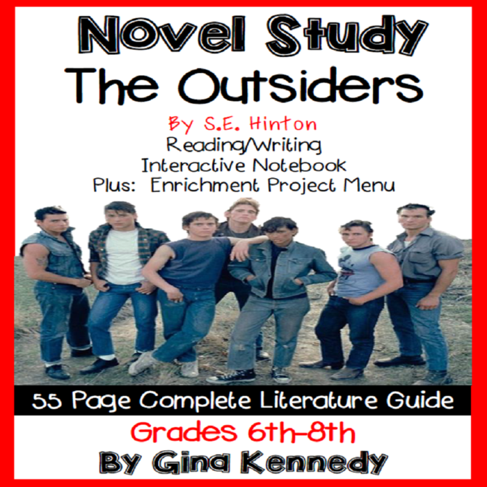 Novel Study- The Outsiders By S.E. Hinton and Project Menu