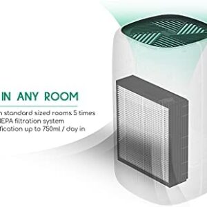 Afloia Efficient Filter for Q10 Air Purifier and Dehumidifier 2-in-1 (Air Purifier Q10 Filter Replacement)