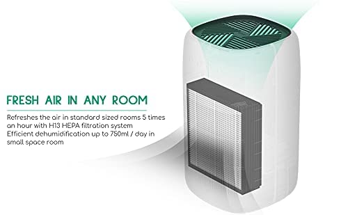 Afloia Efficient Filter for Q10 Air Purifier and Dehumidifier 2-in-1 (Air Purifier Q10 Filter Replacement)