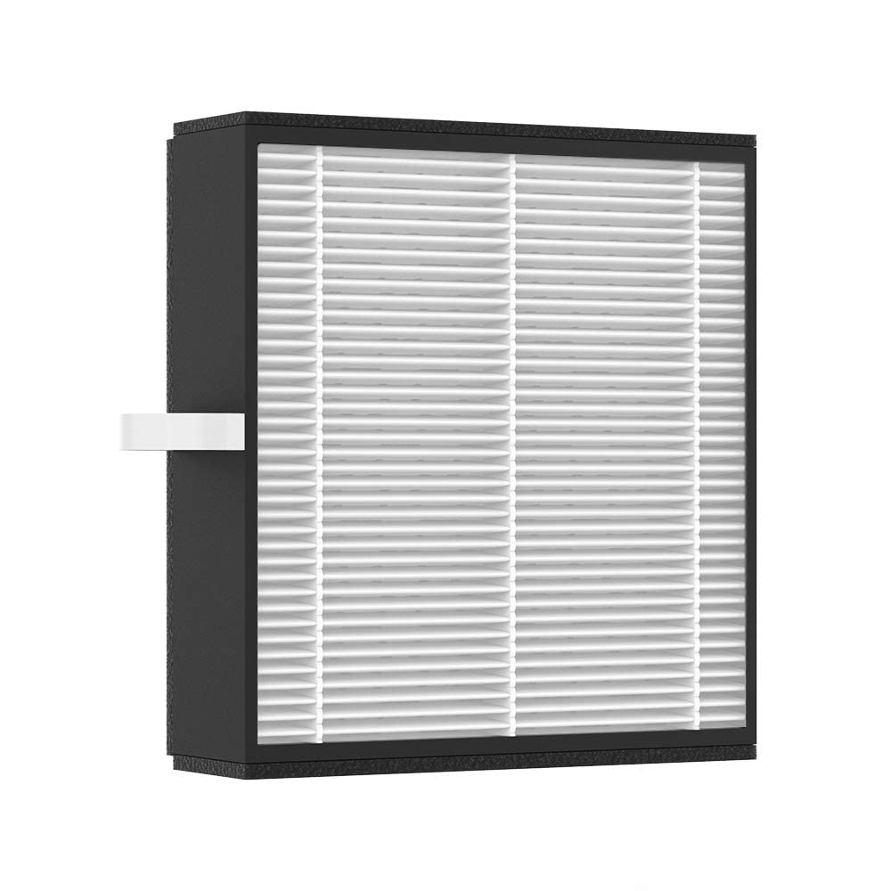 Afloia Efficient Filter for Q10 Air Purifier and Dehumidifier 2-in-1 (Air Purifier Q10 Filter Replacement)