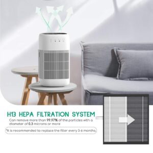 Afloia Efficient Filter for Q10 Air Purifier and Dehumidifier 2-in-1 (Air Purifier Q10 Filter Replacement)