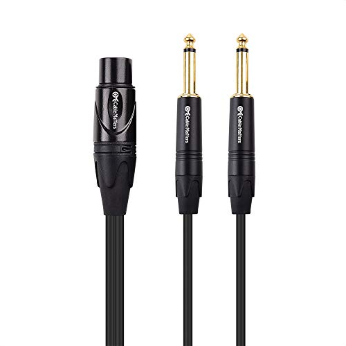 Cable Matters Female XLR to 1/4 Splitter Adapter Cable 6 ft (Dual 1/4 inch to XLR Mono Audio Cable)