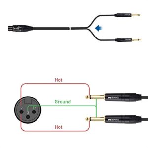 Cable Matters Female XLR to 1/4 Splitter Adapter Cable 6 ft (Dual 1/4 inch to XLR Mono Audio Cable)