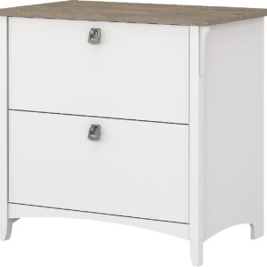 Bush Furniture Salinas 2 Drawer Lateral File Cabinet in Pure White and Shiplap Gray