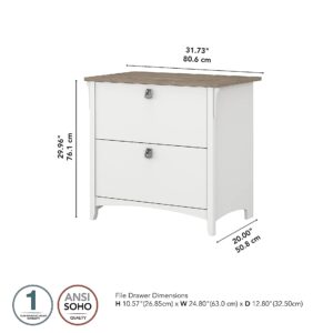 Bush Furniture Salinas 2 Drawer Lateral File Cabinet in Pure White and Shiplap Gray