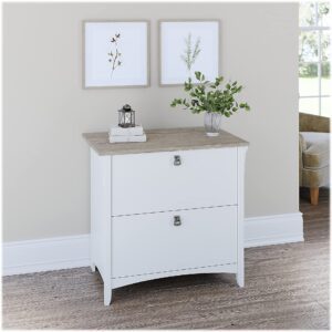 Bush Furniture Salinas 2 Drawer Lateral File Cabinet in Pure White and Shiplap Gray