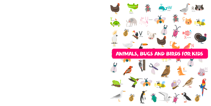 Animals, Bugs And Birds For Kids