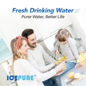 ICEPURE 5 Micron 10" x 4.5" Whole House Water Filter Compatible with GE FXHTC, GXWH40L, RFC-BBSA, W50PEHD, GXWH35F, GNWH38S, Dupont WFHD13001, R50-BB, Pack of 3