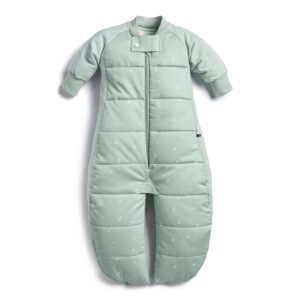 ergoPouch 2.5 TOG Baby Sleep Sack – 100% Organic Cotton Baby Sleep Suit Bag for Cozy Baby’s Night – Temperature Control Baby Blanket (Sage, 3-12 Months)