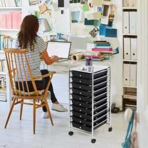 RELAX4LIFE Storage Cart W/10 Drawers,Rolling Wheels Semi-Transparent Multipurpose Mobile Rolling Drawer Cart for School, Office, Home, Beauty Salon Files Arrangement Storage Organizer Cart (Black)