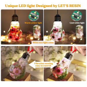 LET'S RESIN Light Bulb Resin Molds, 2PCS LED Bulb Silicone Molds for Resin, Large Resin Silicone Molds with 10PCS Caps, 4PCS LED LED Chip Base, Unique Resin Molds for Home Decor, DIY Gift