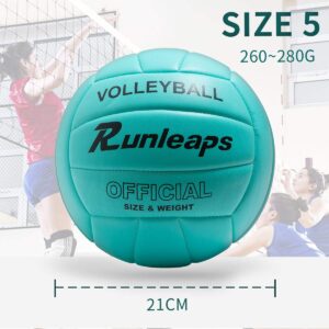 Runleaps Volleyball, Waterproof Indoor Outdoor Volleyball for Beach Game Gym Training (Official Size 5, Blue)