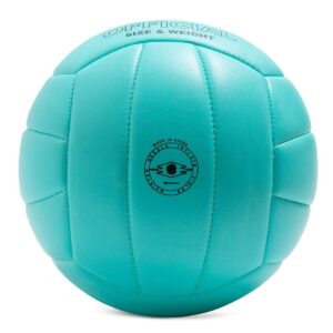 Runleaps Volleyball, Waterproof Indoor Outdoor Volleyball for Beach Game Gym Training (Official Size 5, Blue)