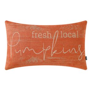 trendin farmhouse fall pillow cover 20x12 inch orange fresh local pumpkin throw pillow cover for autumn decor fall decorations for couch sofa pl553tr