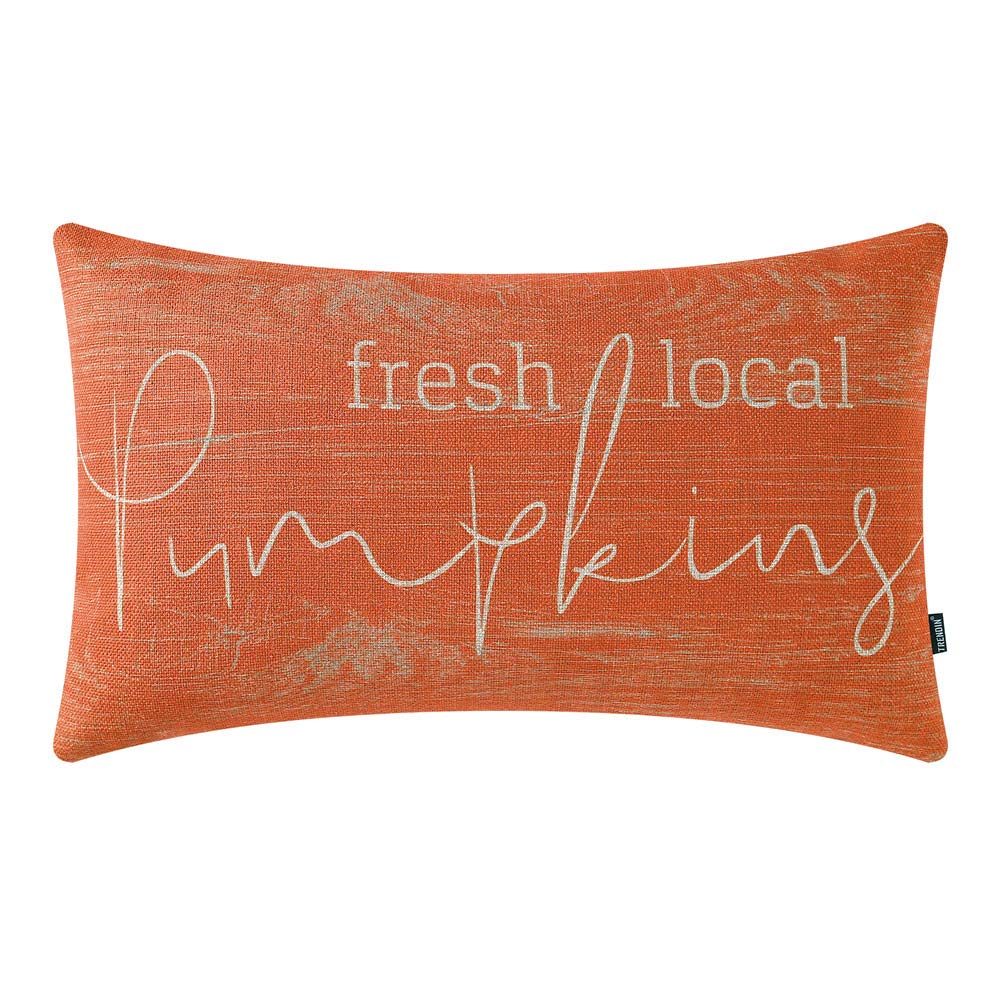 TRENDIN Farmhouse Fall Pillow Cover 20x12 inch Orange Fresh Local Pumpkin Throw Pillow Cover for Autumn Decor Fall Decorations for Couch Sofa PL553TR