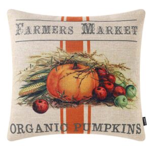 trendin farmhouse fall decorations farmers market pumpkin pillow cover 18x18 inch autumn decor thanksgiving throw cushion cover for sofa couch pl532tr