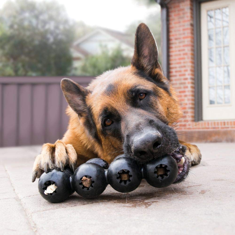 KONG Extreme Goodie Ribbon - Stuffable Dog Toy for Play - Chew Toy Satisfies Natural Chewing Instincts - for Large Dogs