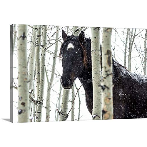 GREATBIGCANVAS Wild horse in a snowstorm, Turner Canvas Wall Art Print, Horse Home Decor Artwork, 30"x20"x1.5"