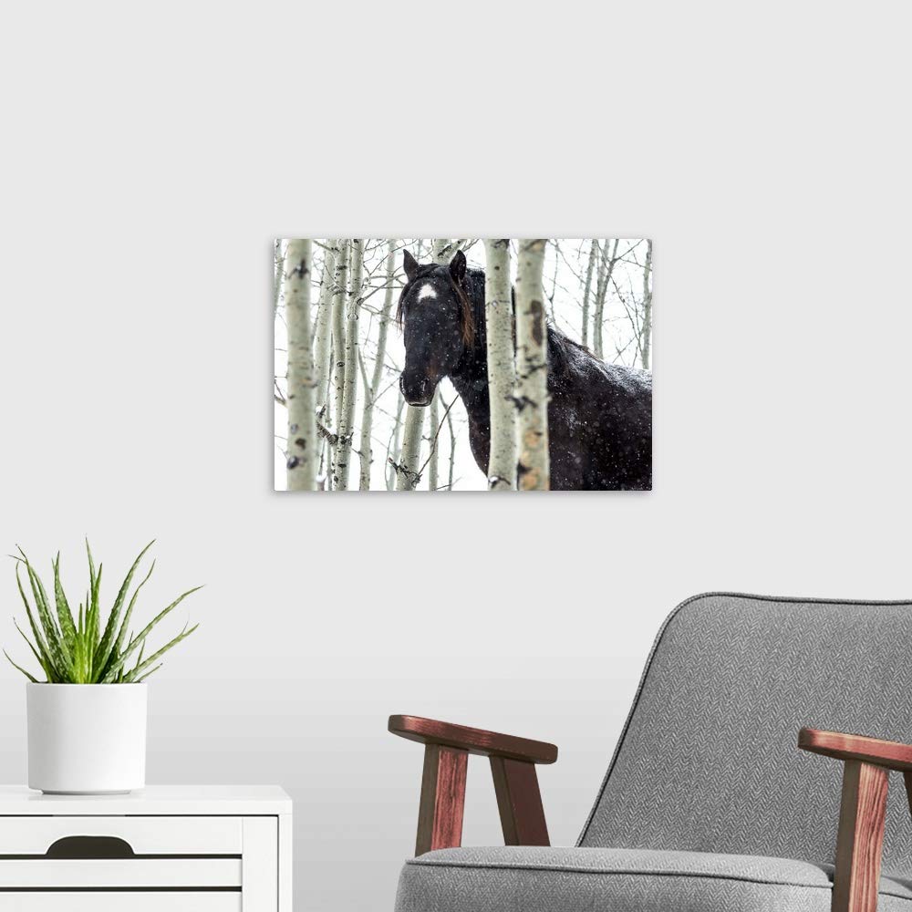 GREATBIGCANVAS Wild horse in a snowstorm, Turner Canvas Wall Art Print, Horse Home Decor Artwork, 30"x20"x1.5"