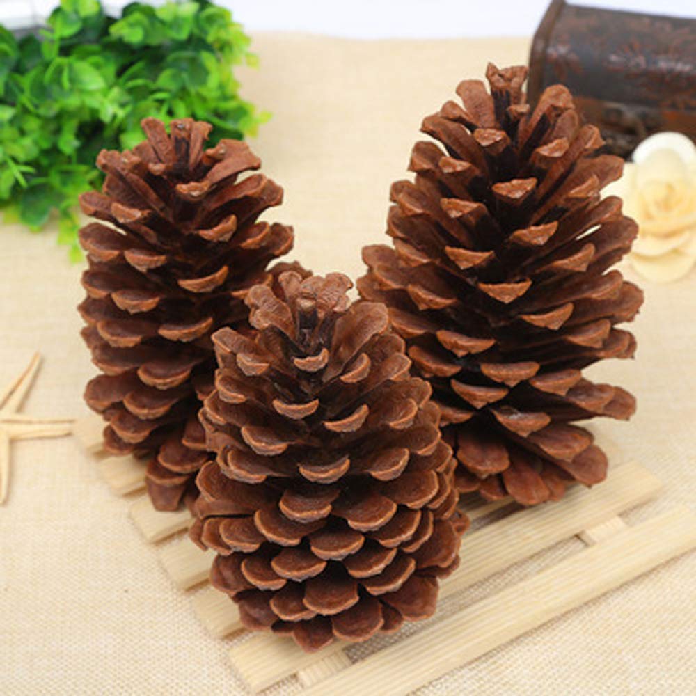 Pine Cones 3.5" to 4.7" Tall Christmas PineCones Giant Large Natural Pinecones for Home Accent Decor, 4 PCS, Bug Free (Large PineCones)