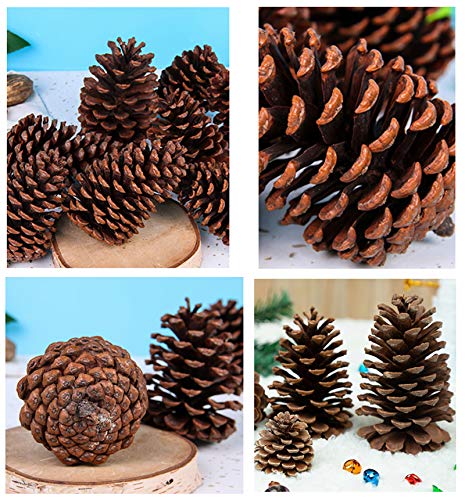 Pine Cones 3.5" to 4.7" Tall Christmas PineCones Giant Large Natural Pinecones for Home Accent Decor, 4 PCS, Bug Free (Large PineCones)