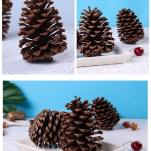 Pine Cones 3.5" to 4.7" Tall Christmas PineCones Giant Large Natural Pinecones for Home Accent Decor, 4 PCS, Bug Free (Large PineCones)