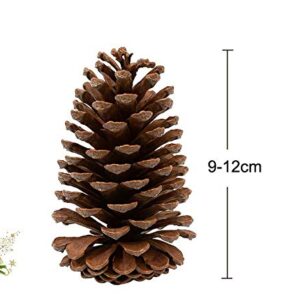 Pine Cones 3.5" to 4.7" Tall Christmas PineCones Giant Large Natural Pinecones for Home Accent Decor, 4 PCS, Bug Free (Large PineCones)